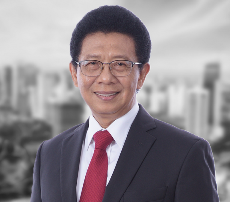 Dewan Komisaris – The National Asset Management Company
