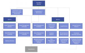 Organization Structure – The National Asset Management Company